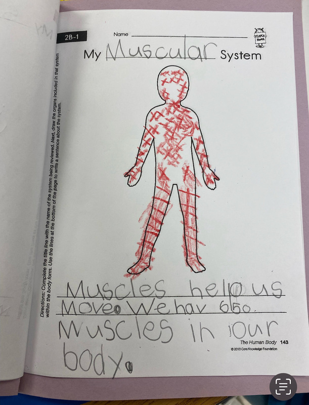 First Grade Studies the Human Body | Evans Elementary School