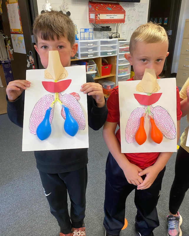1st Grade Lungs and Heart | Evans Elementary School