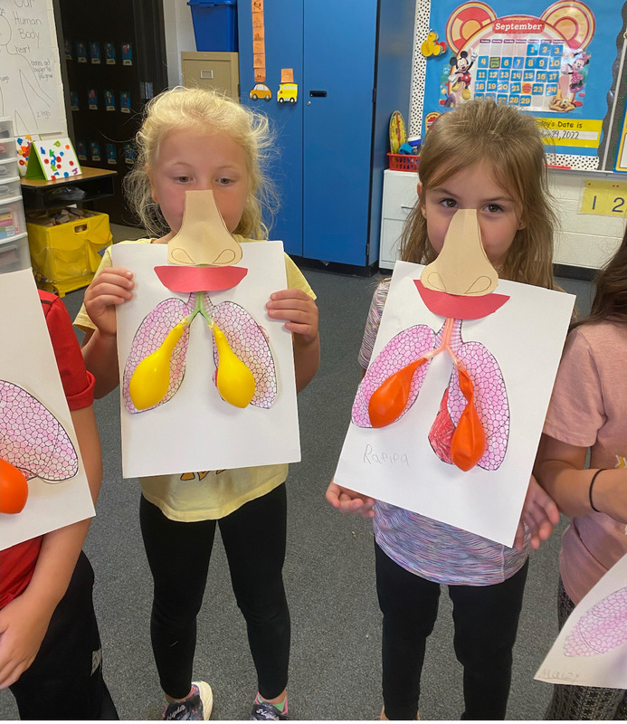 1st Grade Lungs and Heart | Evans Elementary School